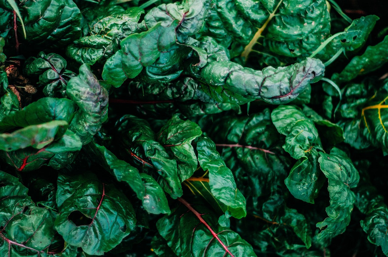 Winter Green Smoothie Recipe for Enhanced Immunity and Energy – Nourish ...